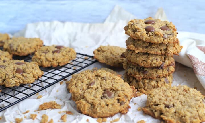 Sugar Free Oatmeal Cookies (Low Carb Recipe) - I Hacked Diabetes