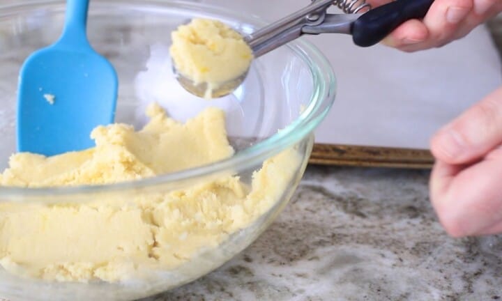 Sugar Free Lemon Cookie Recipe - I Hacked Diabetes