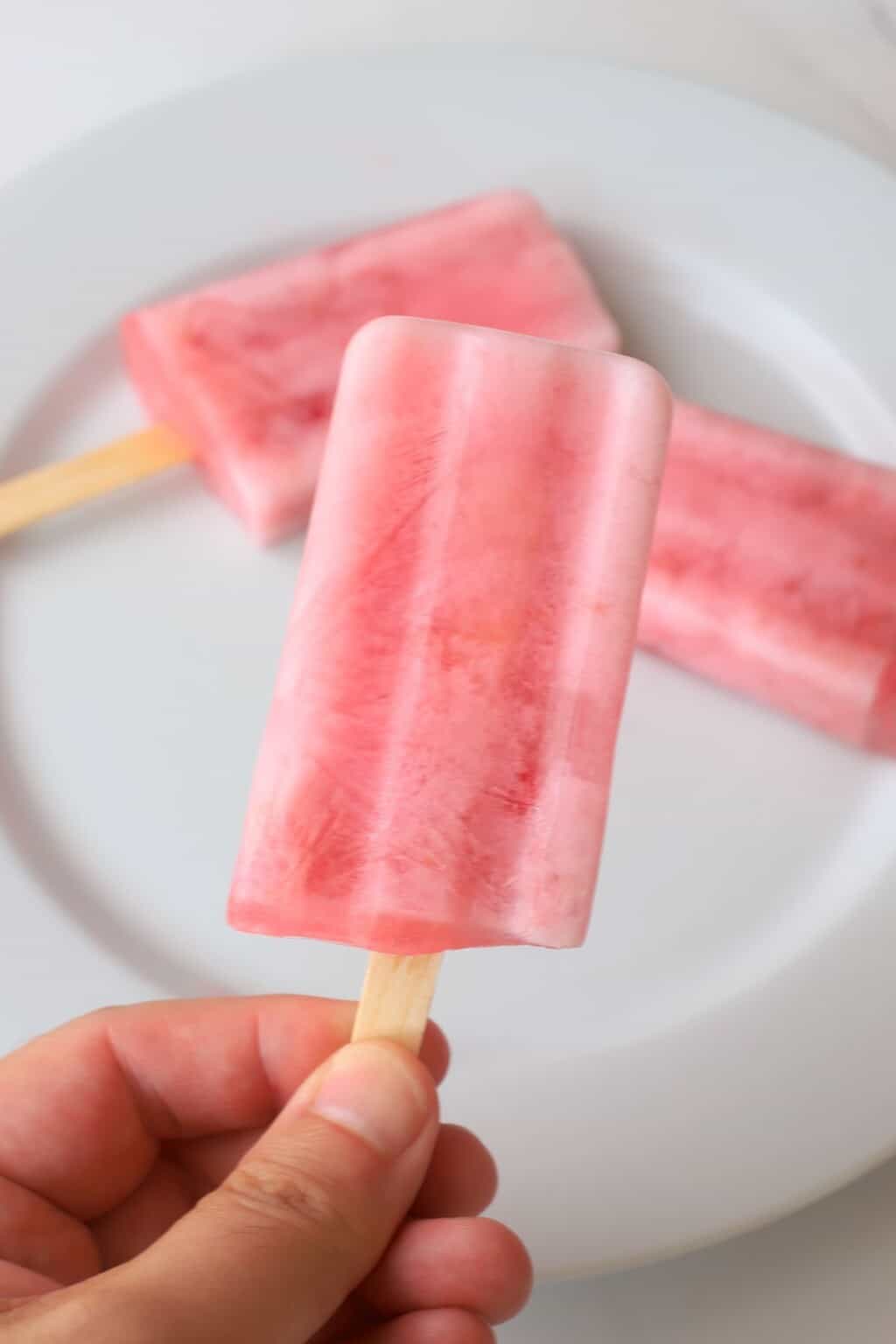Sugar Free Raspberry Popsicles Recipe - I Hacked Diabetes