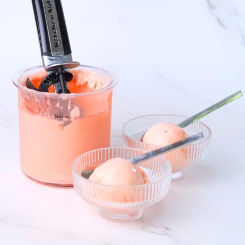 Sugar Free Watermelon Ice Cream (Ninja Creami) - I Hacked Diabetes