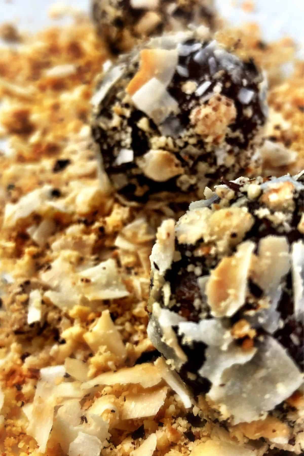 Hazelnut Chocolate Coconut Nut Balls (Sugar Free)